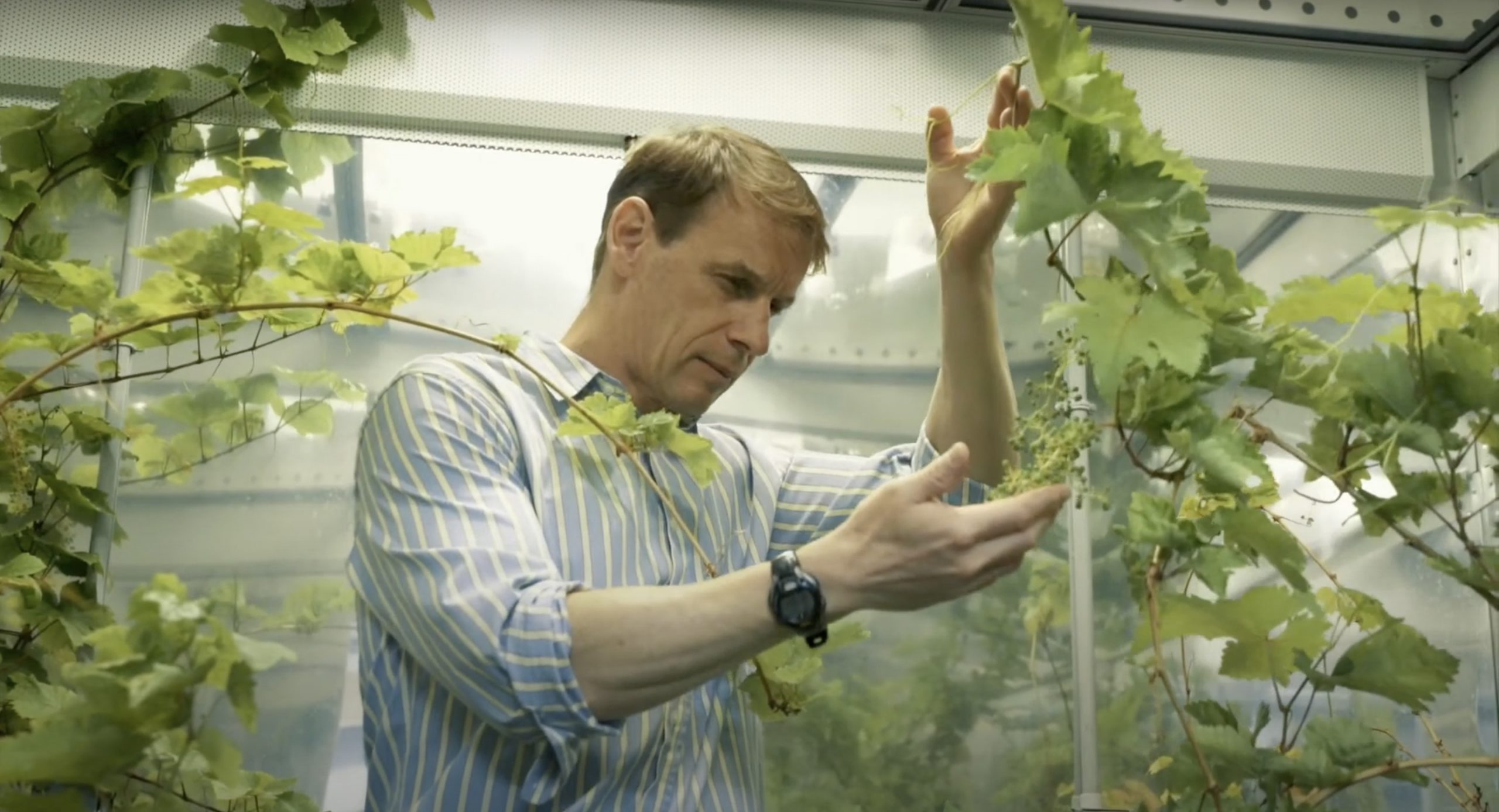 Global Food Innovation Award Winners - Arrell Food Institute