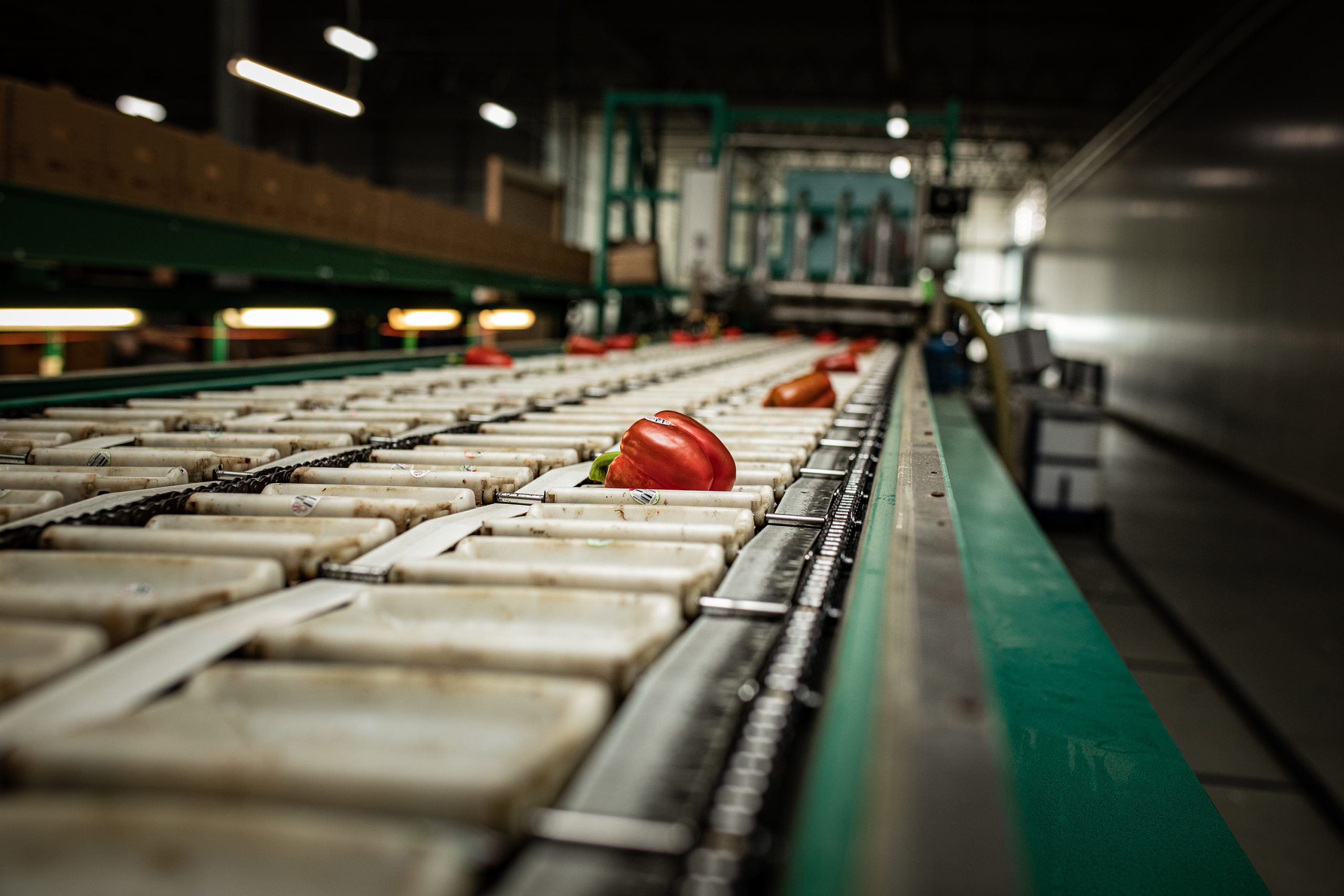 Featured Projects - Arrell Food Institute