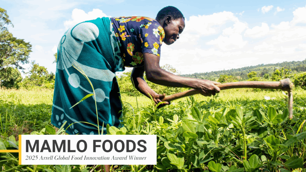 2024 Global Food Innovation Award Winners Announced - AFI